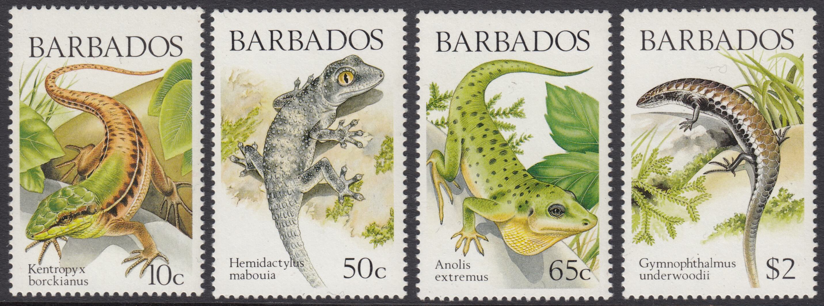 Barbados SG859-862 | Lizards of Barbados – Barbados Stamps